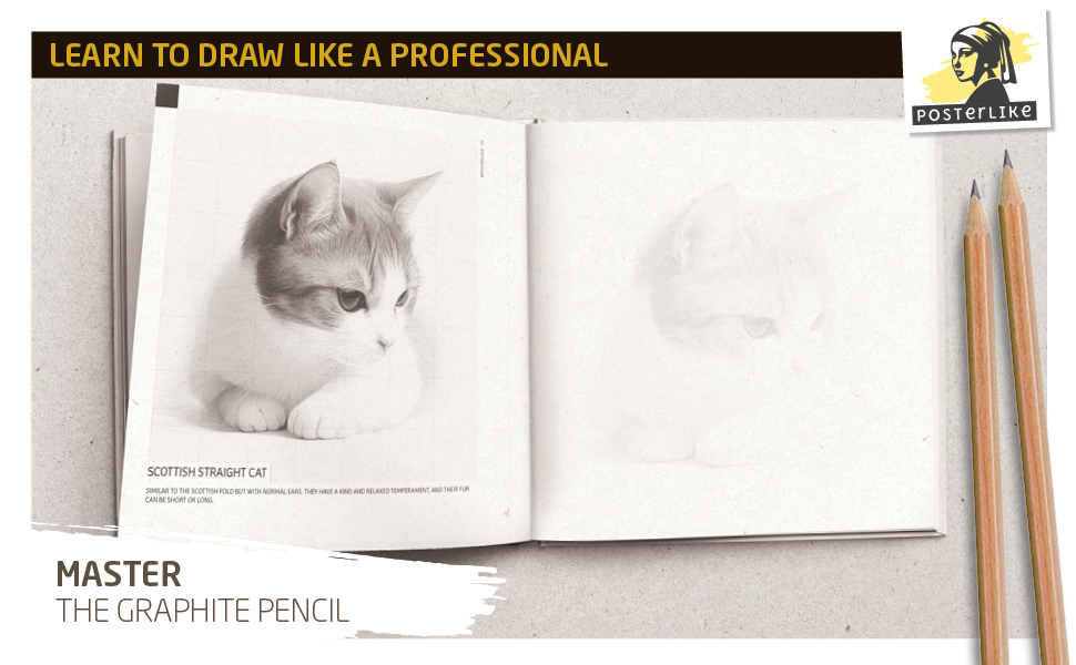 How to Draw Pets in an Artistic Style. Cat Breeds in Pencil: Learn ...