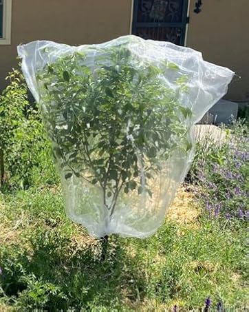 Amazon.com : 15ft x 15ft Fruit Tree Netting Cover with Zipper & Drawstring, Insect Bird Barrier ...
