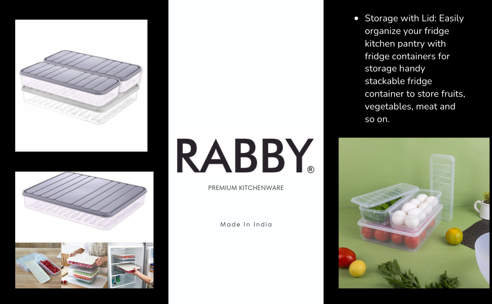RABBY Modular Plastic Storage Containers with Lid, Fridge Storage Boxes Keeps Dry Fruits ...
