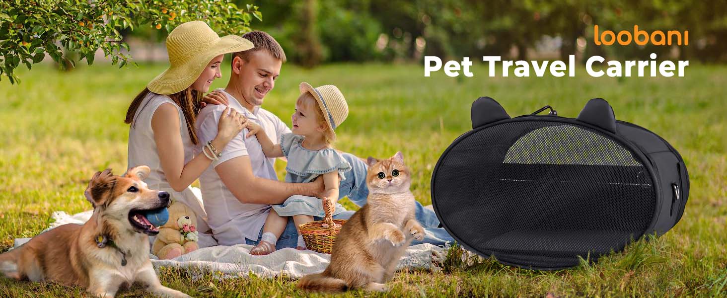 Amazon.com : LOOBANI Cat Carrier for Small Medium Cats Under 18lbs, TSA Airline Approved Carrier ...