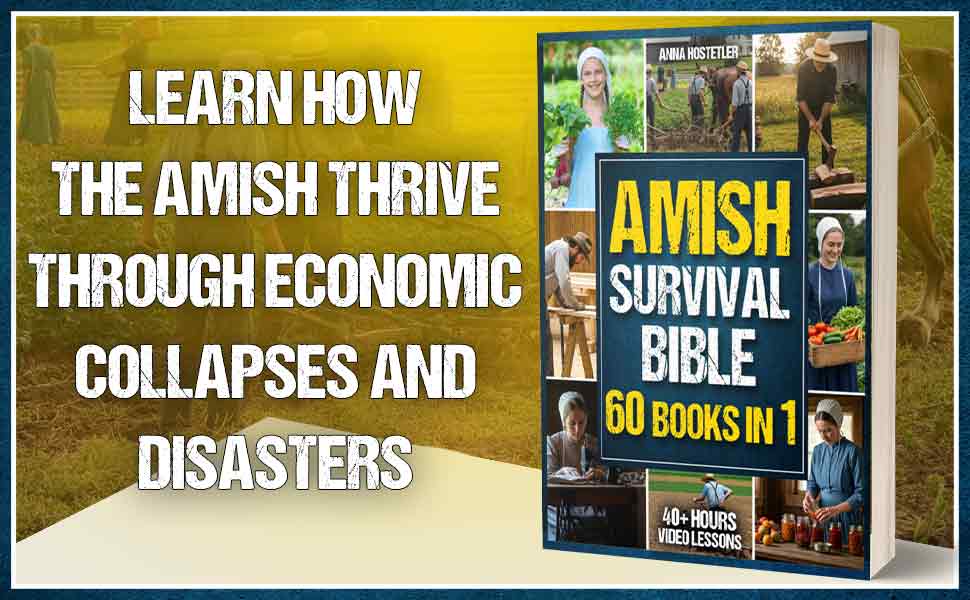Amish Survival Bible: The Ultimate Guide to 3500 Days of Preparedness, DIY Survival Projects ...