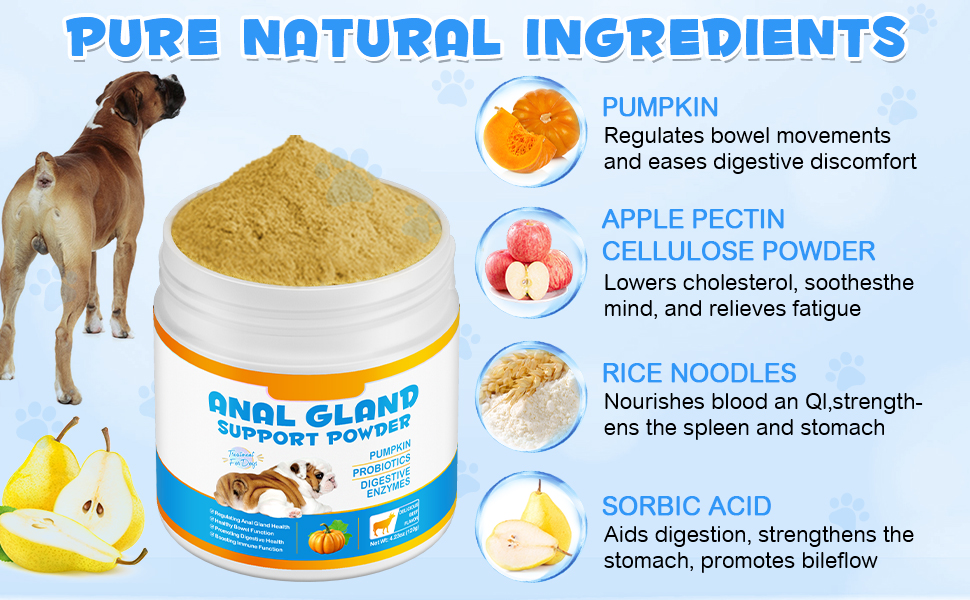 Anal Gland Support Powder for Dogs | Pumpkin, Probiotics & Digestive Enzymes | Digestive Health ...