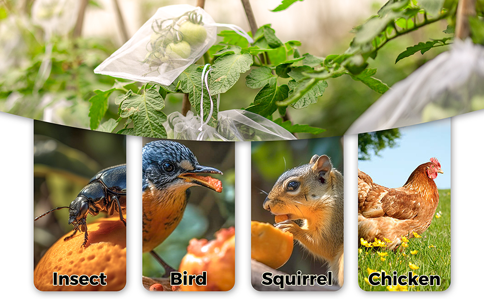 Amazon.com: 120pcs Fruit Protection Bags, 6"x8" 8"x12" Fruit Netting ...