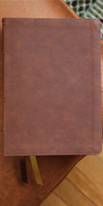 NKJV, Thompson Chain-Reference Bible, Handy Size, Leathersoft, Navy, Red Letter, Comfort Print ...