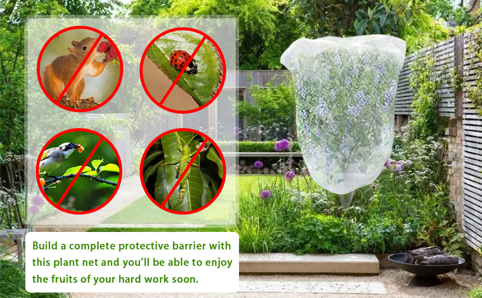 Amazon.com : Fruit Tree Netting Covers with Zipper to Protect from Squirrels and Birds Large ...