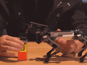 Amazon.com: ELECFREAKS CM4 XGO Robotic Dog V2 Kit for Raspberry Pi with ...