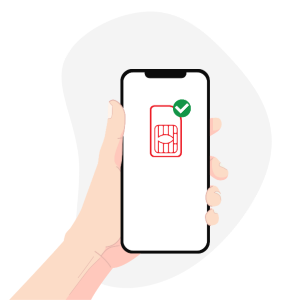 travSIM China SIM Card | 10GB Mobile Data | Works on iOS and Android Devices | The Plan on This ...