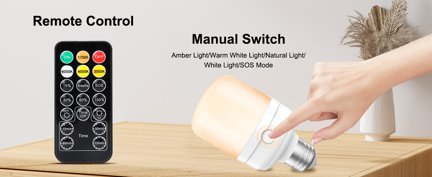 Eocean E27 Rechargeable Light Bulbs with Remote Control, Wireless Light ...