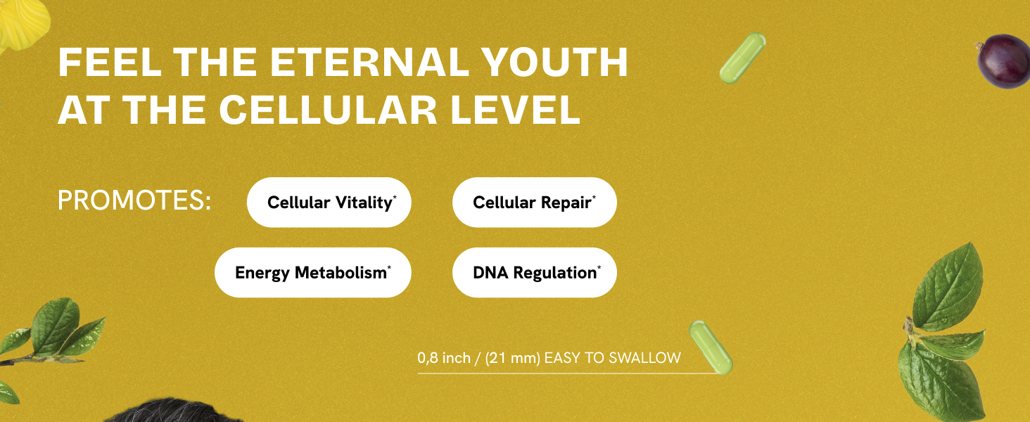 Amazon.com: Resurrected Health NMN Supplement Alternative - High Absorption NAD, Resveratrol ...