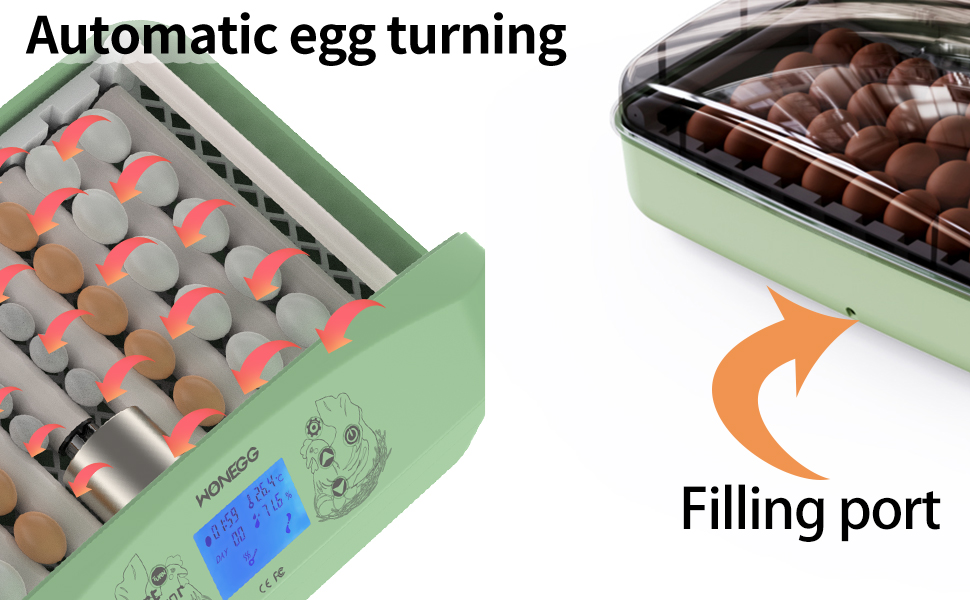 Amazon.com : Pionevox Eggs Incubators, 32-60 Automatic Egg Incubator with Egg Turning and ...