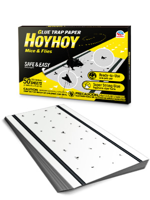 Amazon.com : HOY HOY Mice & Flies Glue Trap Paper - 50 Traps [1 Pack] Ready-to-Use Super Strong ...