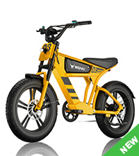 Amazon.com : BIGNIU BG-X Electric Bike for Adults,1500W Brushless Motor 48V/31.5Ah Up to 40 ...