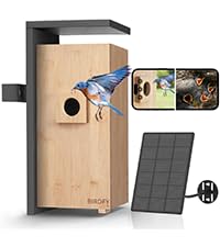 Amazon.com : NETVUE by Birdfy Upgraded Smart Bird Feeder Camera Solar Powered, Auto Capture ...