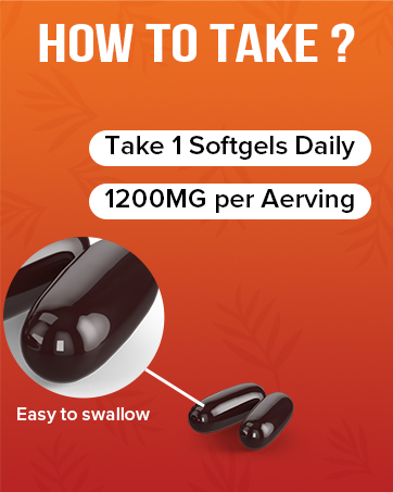 Amazon.com: Trasicolor Liposomal GABA with L-Theanine Supplements 1200mg - High Absorption GABA ...