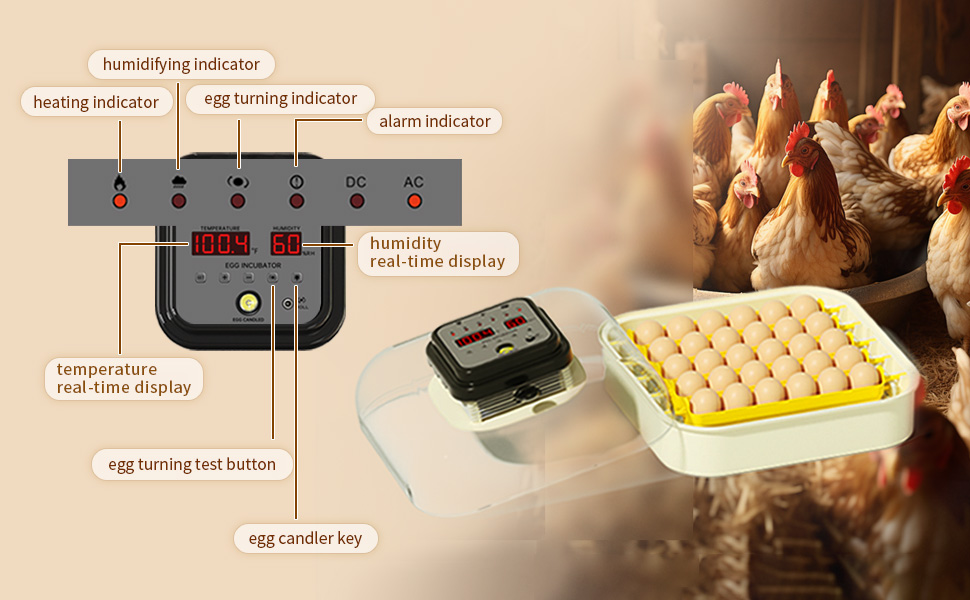 Amazon.com: Chalixion Incubators for Hatching Eggs, Egg Incubator with Automatic Egg Turner and ...