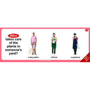 Amazon.com: Super Duper Publications | WH Questions Skill Strips® Photo ...