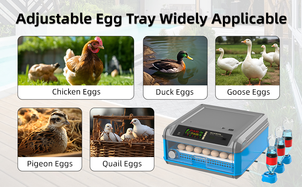 Amazon.com: Incubators for Hatching Eggs - 24 Egg Incubator with Automatic Egg Turning and ...
