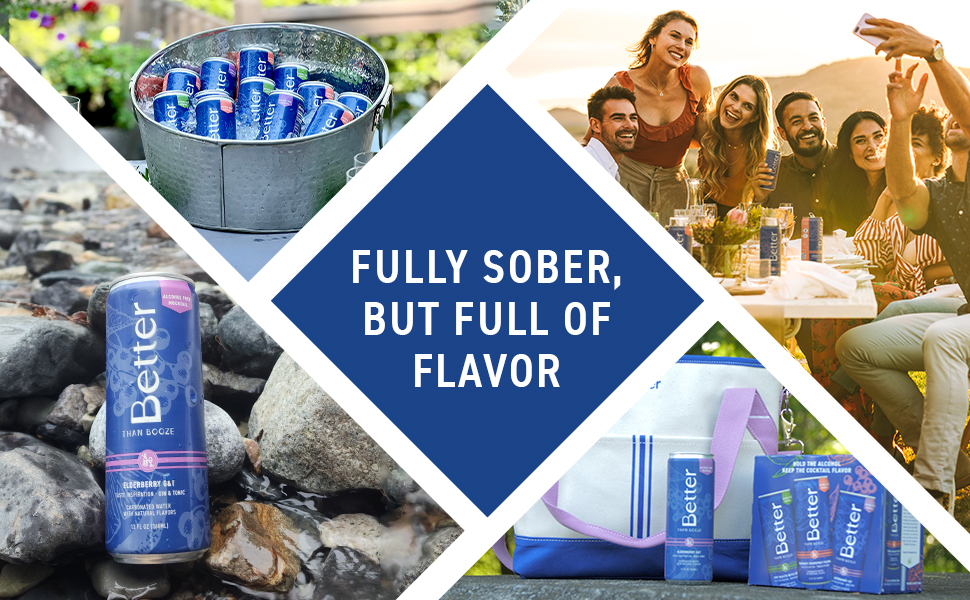 Amazon.com : Better Than Booze Mocktails Non-Alcoholic Drinks | Alcohol Alternative Beverages ...