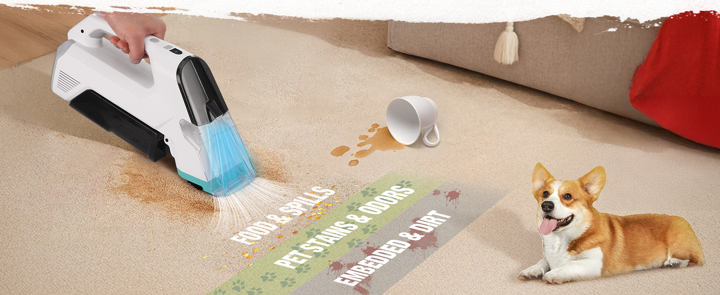 Amazon.com - HAUSHOF Handheld Carpet Cleaner, 12V Cordless Portable ...