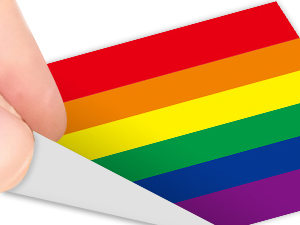 Amazon.com: 500 Pieces 2 x 1.2 Inches Pride Flag Stickers Roll - 8 Patterns Rectangle Self ...