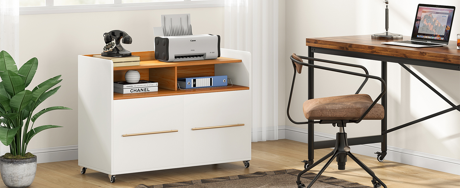 Amazon.com: Tribesigns Mobile File Cabinet 2-Drawer Lateral Filing Cabinet, Wood File ...