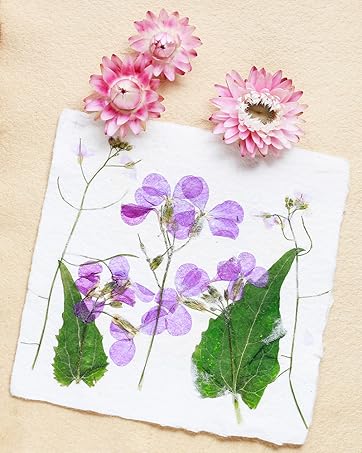Aboofx - Kit de prensa de flores, kit de manualidades de 11 x 11 ...