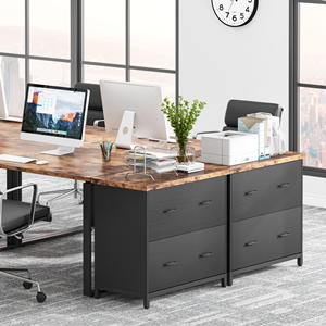 Amazon.com: Tribesigns 2-Drawer File Cabinet, Wood Lateral Filing Cabinet for Home Office, A4 ...