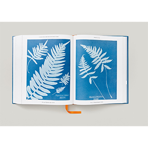 Amazon.com: Anna Atkins. Cyanotypes (Multilingual Edition ...