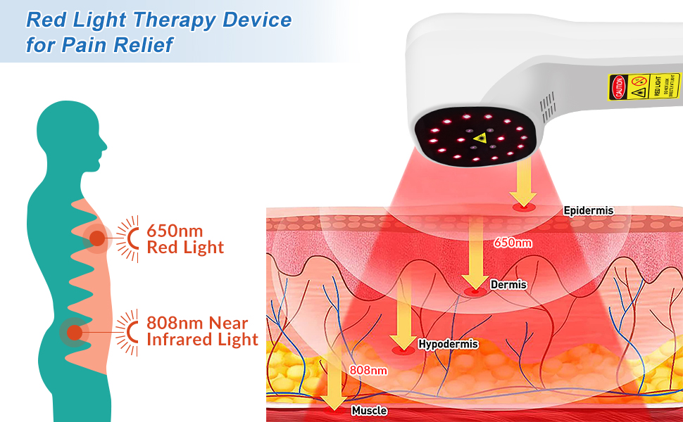 Amazon.com: ZJKC Red Light Therapy Device, 4x808nm+16x650nm, Near Infrared Light Therpay for ...