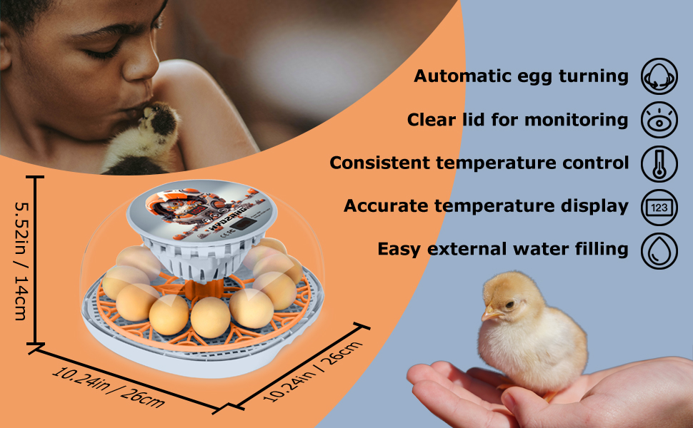 Amazon.com: WYD2ANG Smart Chicken Incubators for Hatching Eggs with Automatic Turner Small ...