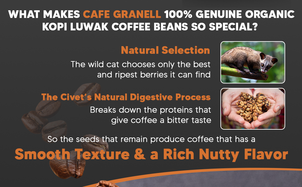 Cafés Granell Wild Kopi Luwak Café de grano entero, 100 gramos : Amazon.com.mx: Alimentos y Bebidas