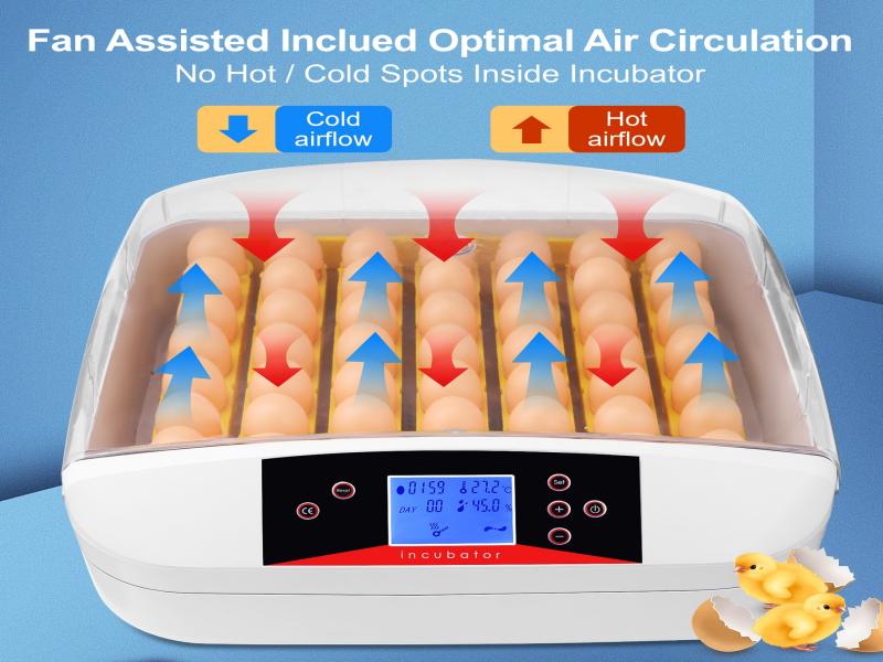 Amazon.com: Sailnovo Egg Incubator, 55 Incubators for Hatching Eggs with Automatic Egg Turning ...