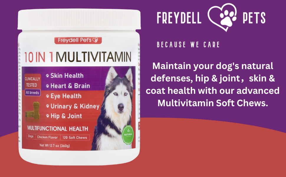 Amazon.com : Freydell Pets Multivitamin Dog Supplement: Glucosamine Chondroitin, Probiotics ...
