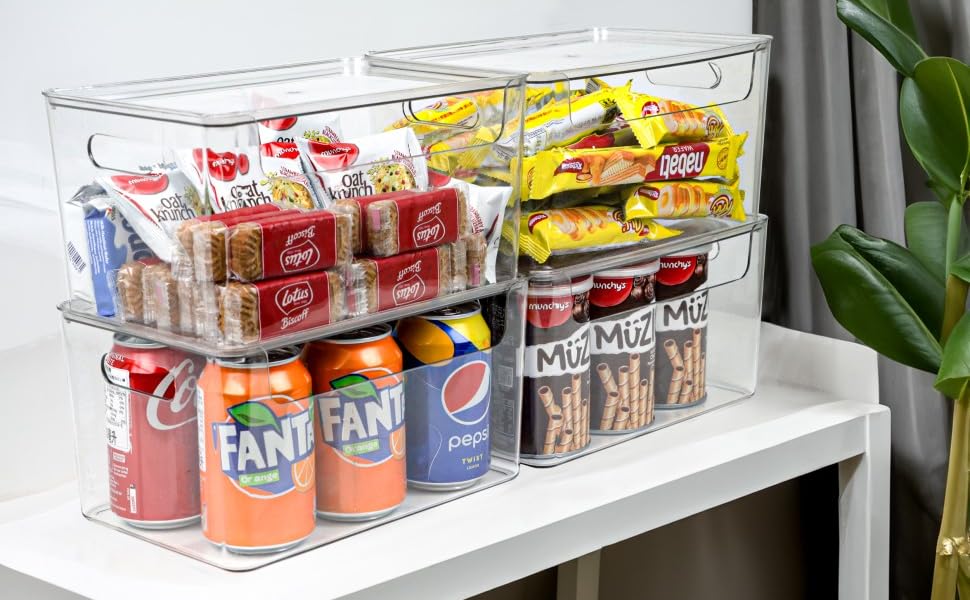 Amazon.com: ZEXALOR Clear Plastic Storage Bin with Lid, Stackable ...