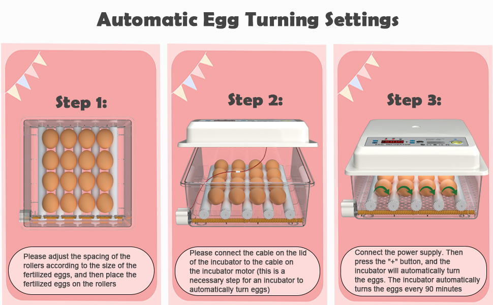 Amazon.com: Hethya Incubators for Hatching Eggs Fahrenheit 12-16 Eggs Incubator with Automatic ...