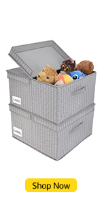Amazon.com: GRANNY SAYS Storage Bins with Lids, Decorative Storage ...