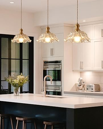 SADUENFR 2Pcs Glass Pendant Lights Kitchen Island, 1-Light Black ...