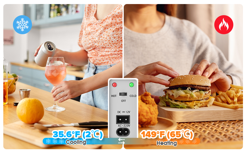 Mini Portable Compact Personal Fridge Cooler, 13 Liter Capacity, Includes Plugs for Home Outlet ...