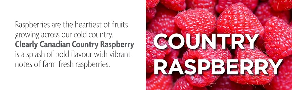 Amazon.com : Clearly Canadian Country Raspberry Sparkling Spring Water Beverage, Natural ...