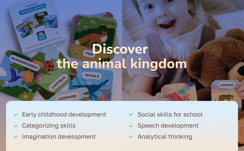 Amazon.com: Amazing Animals Card Games for Smart Teddy Bear - Includes ...