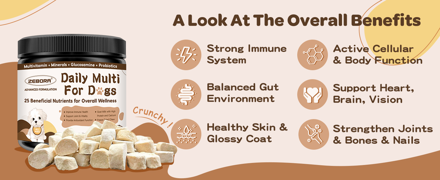 Amazon.com : Dog Multivitamin Chews for Overall Health - Dog Vitamins and Supplements with ...