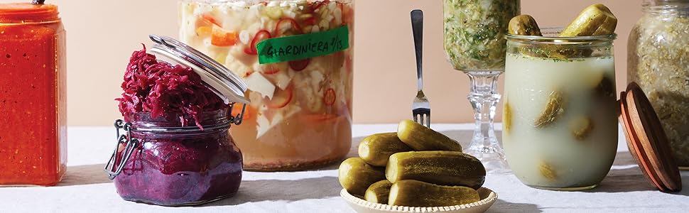 Fermenter: DIY Fermentation for Vegan Fare, Including Recipes for Krauts, Pickles, Koji, Tempeh ...