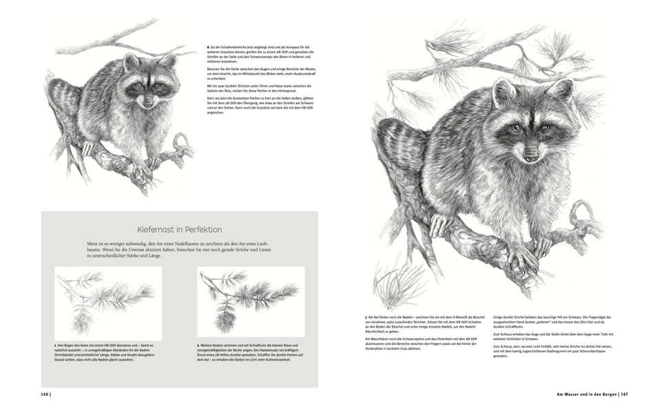 Die Kunst des Zeichnens - Natur: Die große Zeichenschule: praxisnah & gut erklärt : frechverlag ...