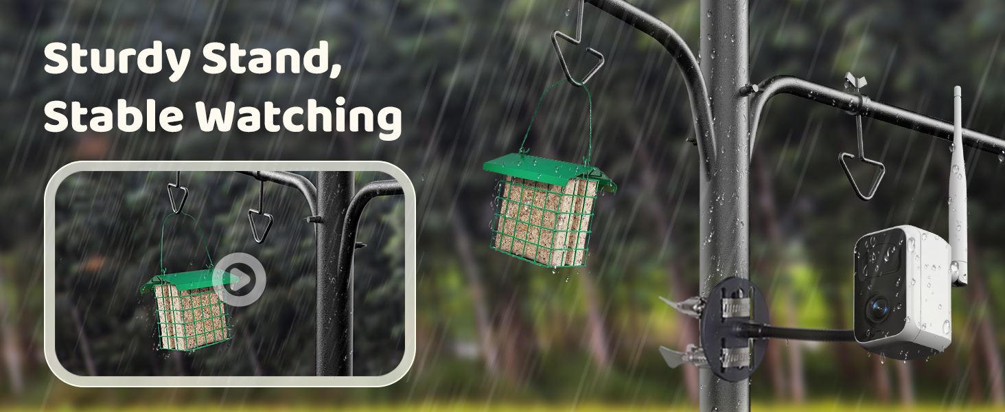 Amazon.com : NETVUE by Birdfy Smart Bird Feeder Camera, Adjustable Brackets, Auto Bird Video ...