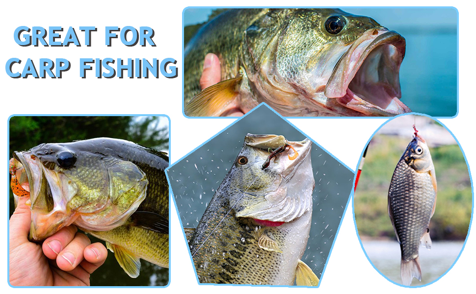 Amazon.com : 200pcs Barbless Fishing Hooks Kit Carp Fishing Fly Tying Hooks Circle Curve Shank ...