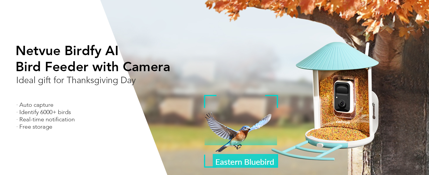 Amazon.com: NETVUE Birdfy - Smart Bird Feeder Camera, Bird Watching Camera Auto Capture Bird ...