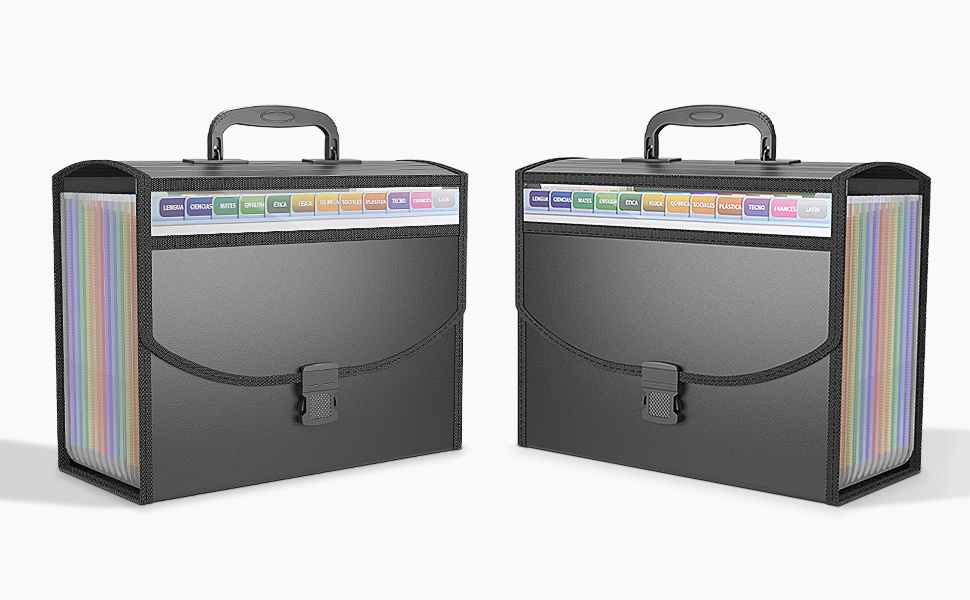 Amazon.com : 13 Pockets File Organizer with Handle,Accordion File Folders,Portable Expanding ...