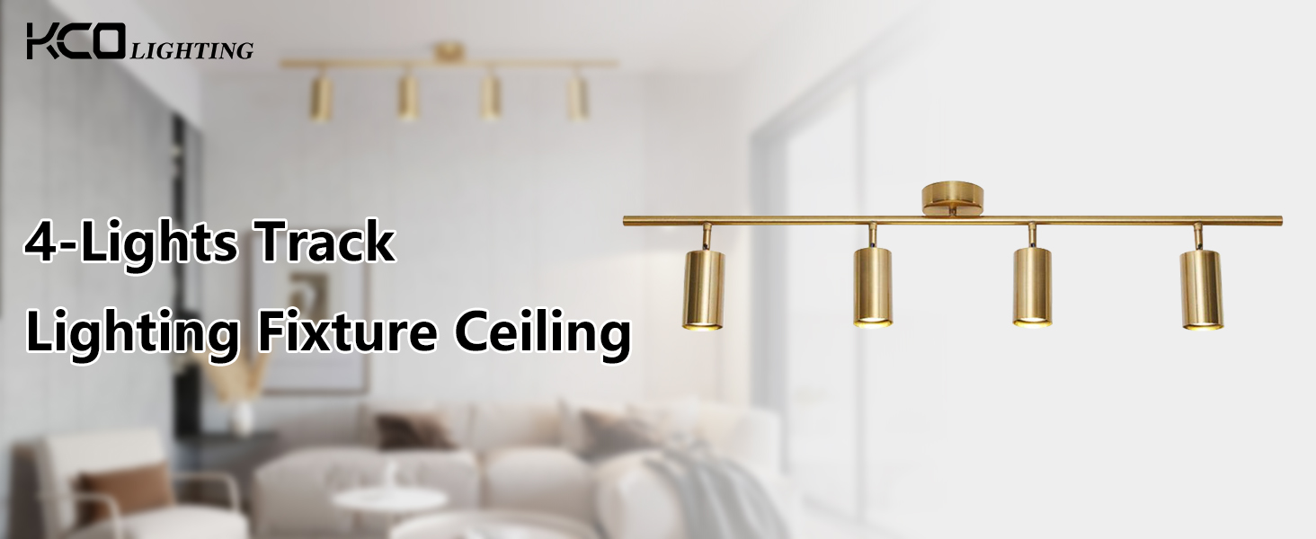 KCO Lighting Modern 2-Light Gold Track Lighting Fixture Flush Mount Brushed Brass Track Lights ...