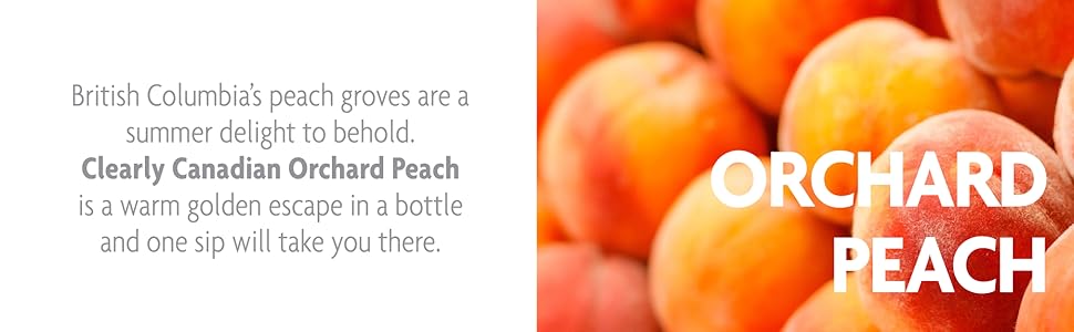 Amazon.com : Clearly Canadian Orchard Peach Sparkling Spring Water Beverage, Natural ...