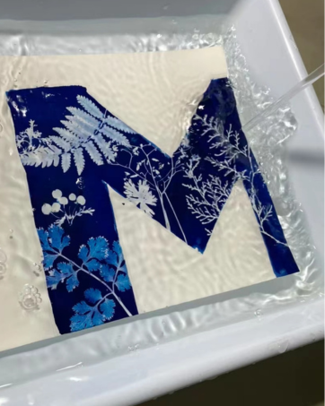 Amazon.com: LARICEO 16oz Cyanotype Sensitizer Kit, Easy to Store ...